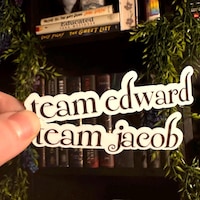 Twilight, Team Jacob, 1.5" Pinback Button, Taylor Lautner - Etsy