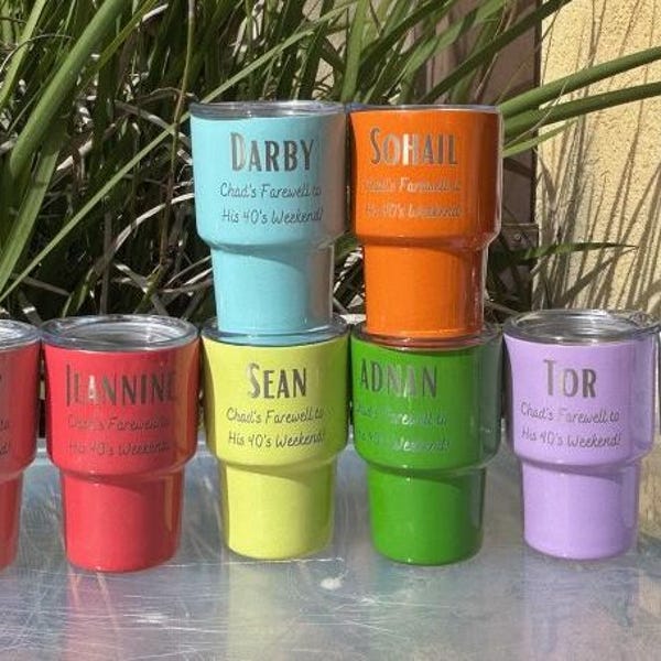 Mini Stanley Cups - Etsy