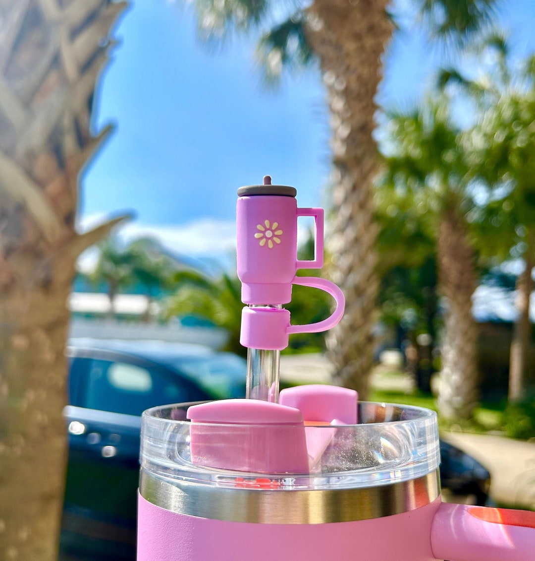 Mini Stanley Straw Topper Stanley Straw Topper Beachy Straw Topper ...
