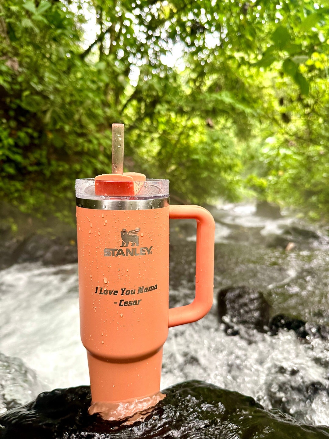 Stanley Cup,stanley,stanley Tumbler,personalized Stanley Cup ...