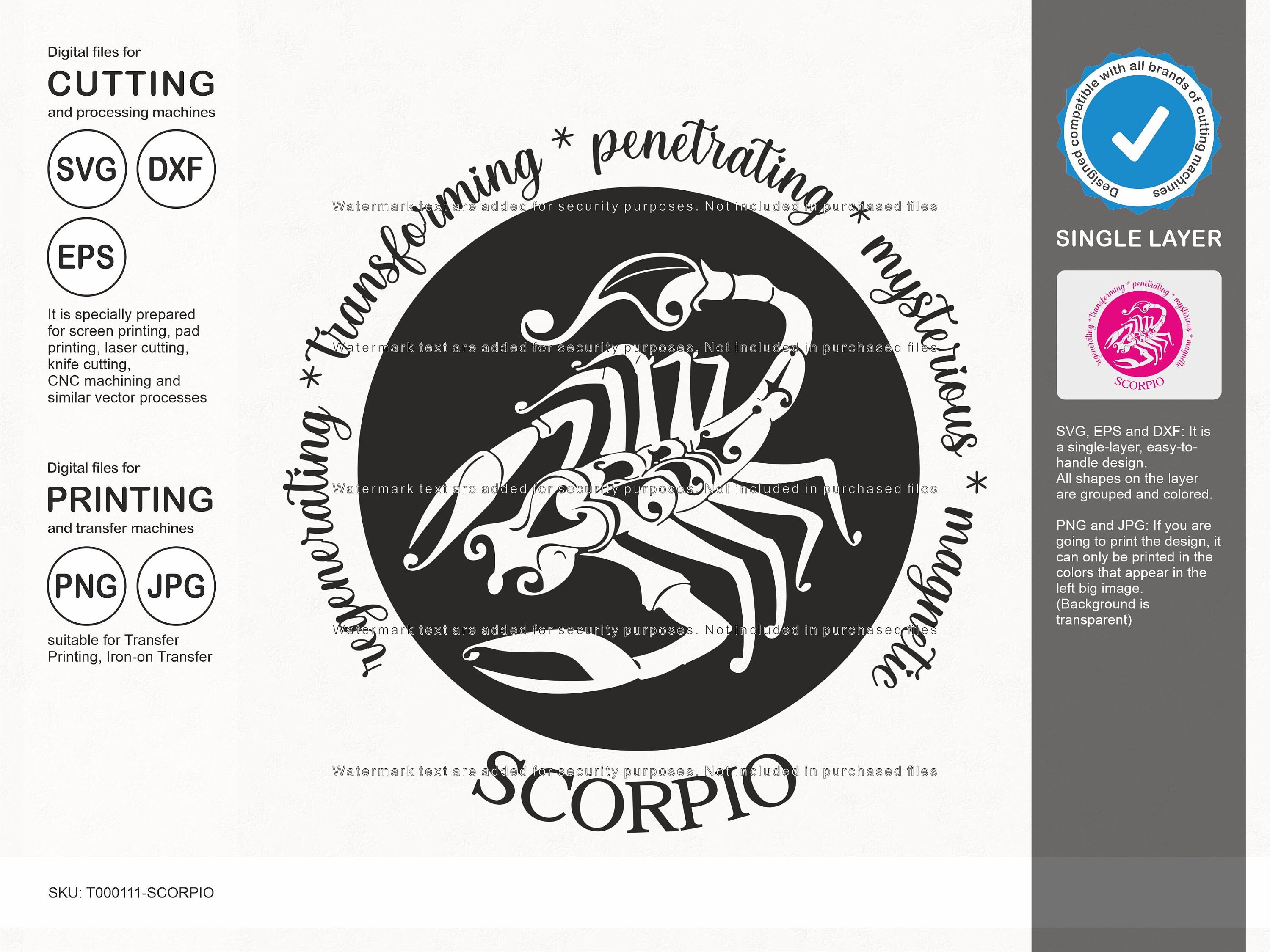 Scorpio Svg Scorpion Zodiac Symbol Svg Scorpio Zodiac Sign - Etsy