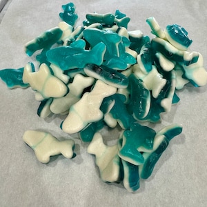 Freeze Dried Shark Gummies - Etsy