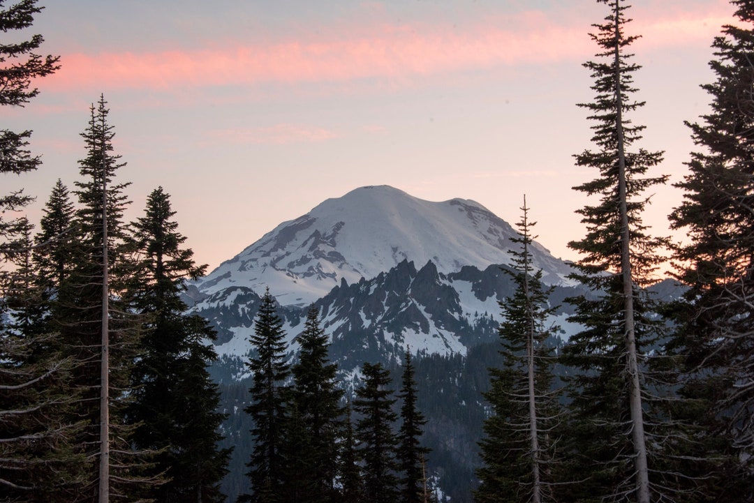Mt. Rainier Through Evergreen Trees - Etsy