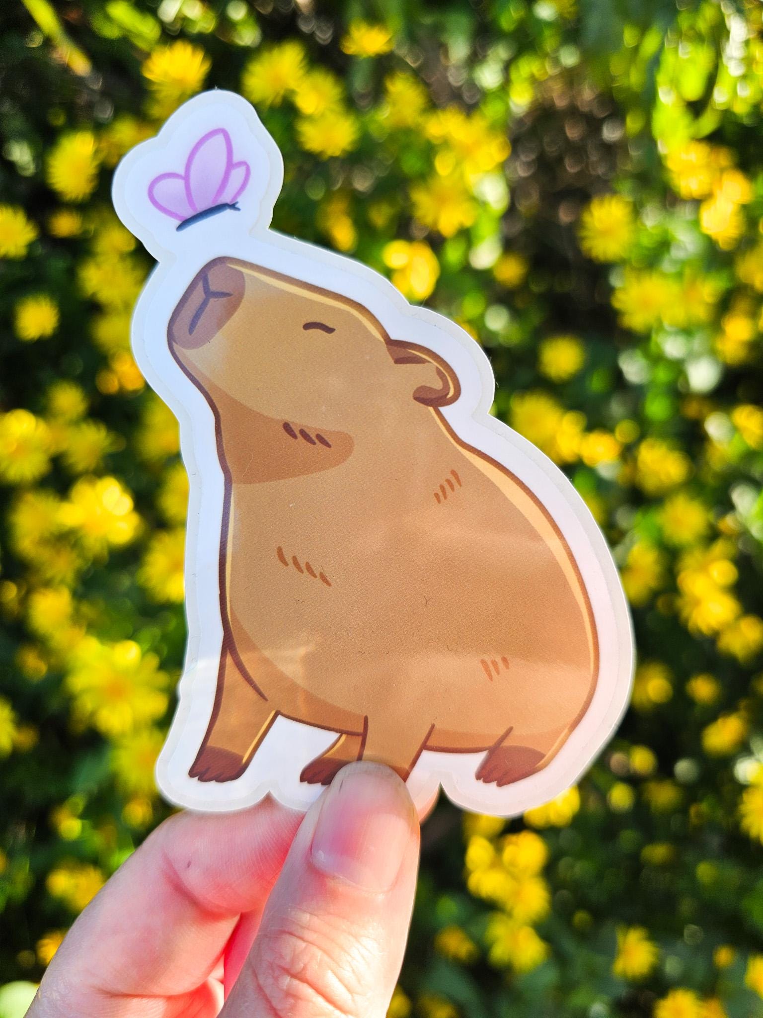 Butterfly Cappy Sticker - Capybara Sticker, Glossy Waterproof Sticker ...