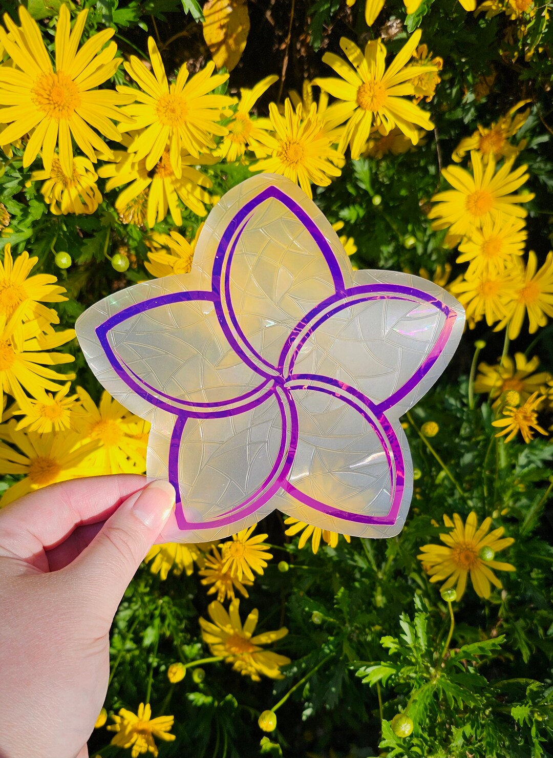 Frangipani Suncatcher - Flower Rainbow Maker Rainbow Prism Sticker ...