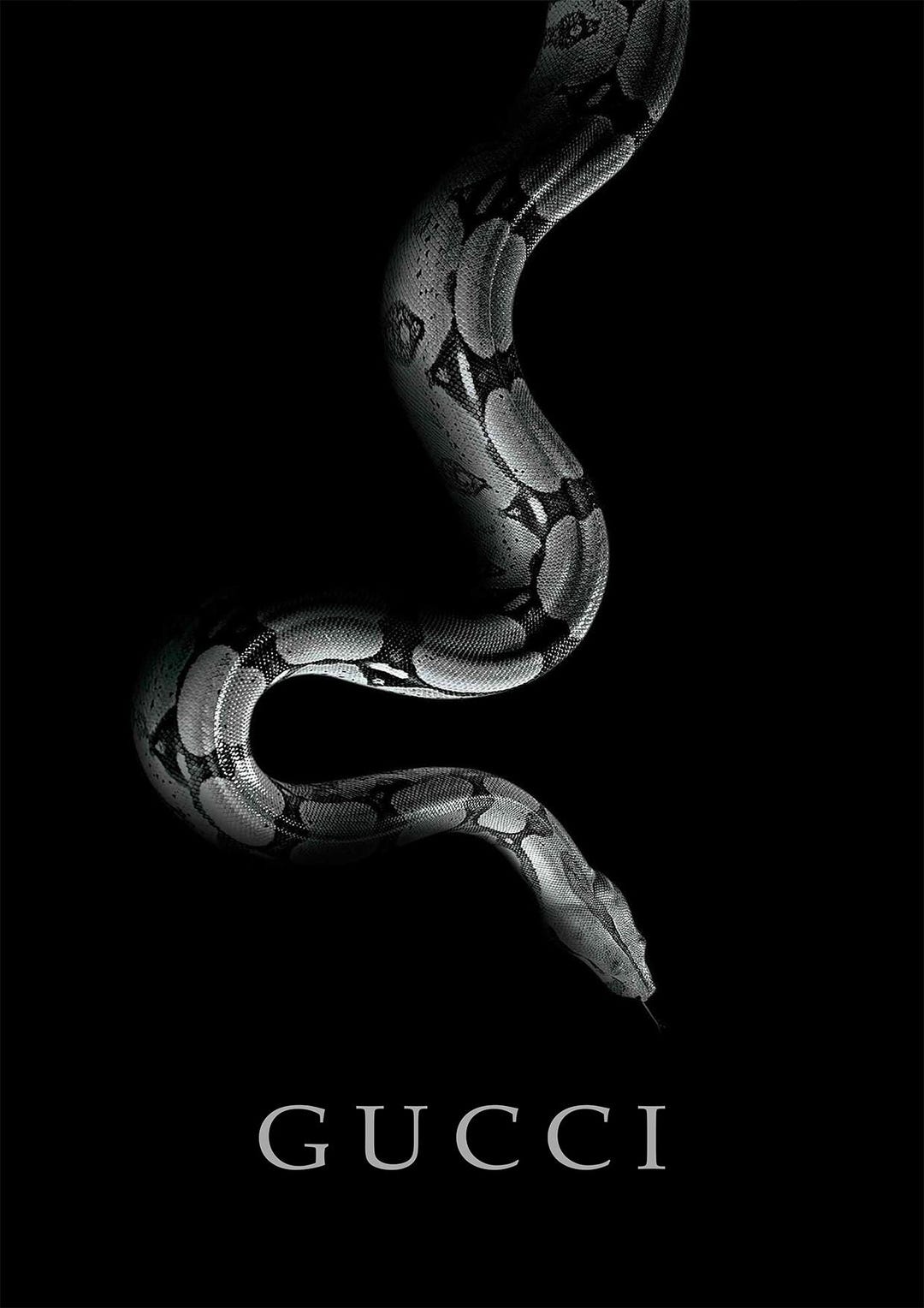 A2 70x100 Cm., Black Gucci Snake Poster, Black Photo Poster, Vintage ...