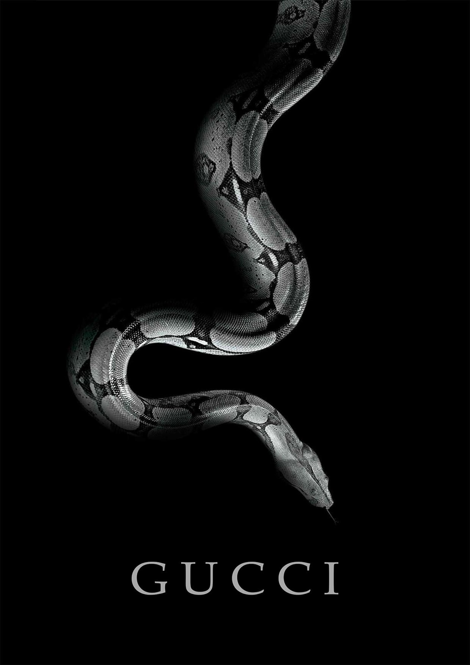 A2 70x100 Cm., Black Gucci Snake Poster, Black Photo Poster, Vintage ...
