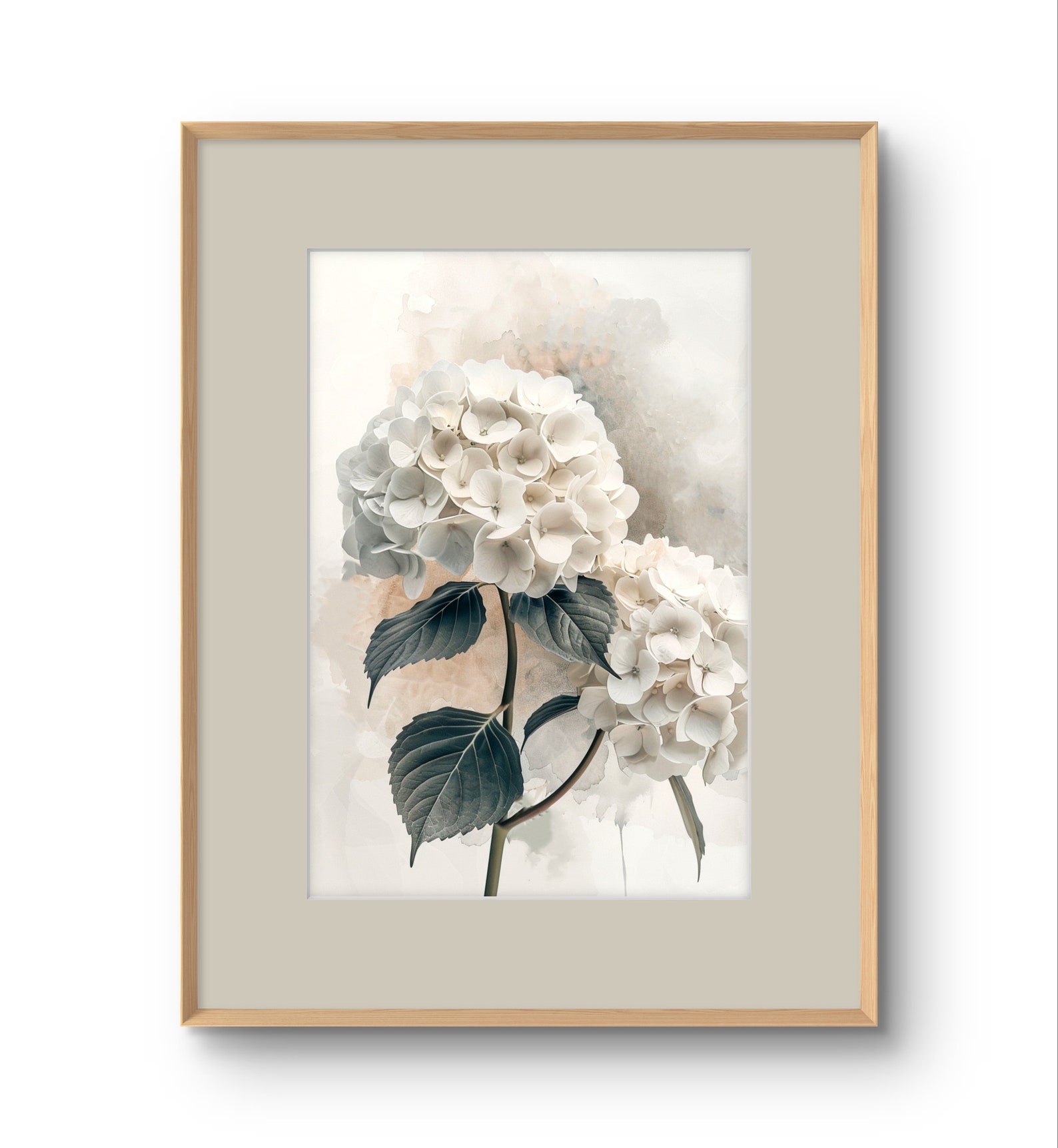 White Hydrangea Art Print Hydrangeas Flowers Wall Art Botanical Garden ...