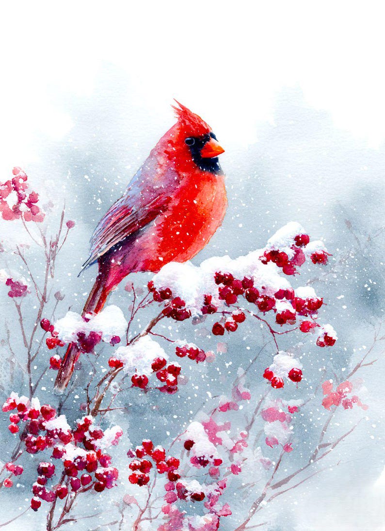 Red Cardinal Art Print Winter Bird Wall Art Snowy Berry Branch ...