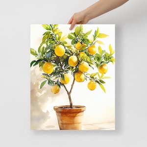 Lemon Tree Art Print Italy Lemons Wall Art Farm House Decor Countryside ...