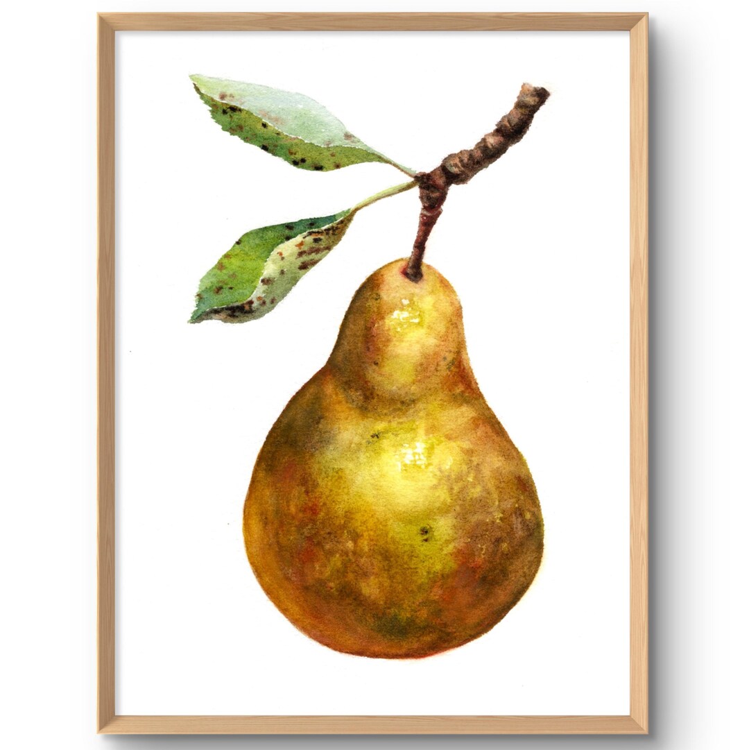 Pear Watercolor Art Print Botanical Painting Fruit Artwork Farmhouse ...