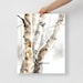 Birch Trees Watercolor Print Aspen Art Prints Colorado Winter Forest ...