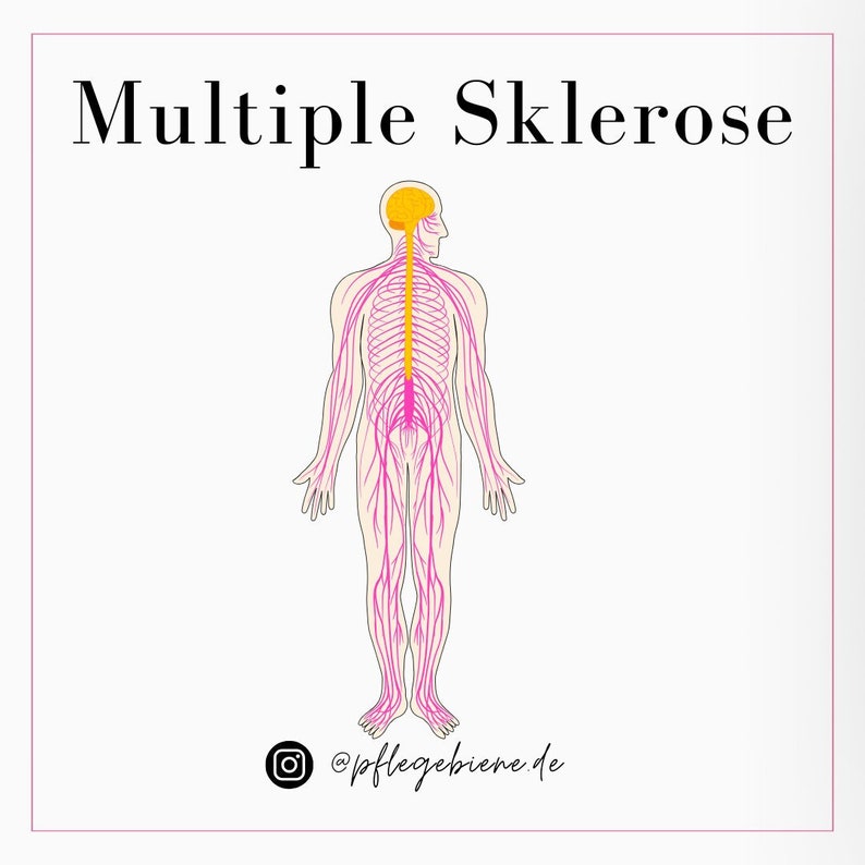 Multiple Sclerosis Learning Sheets Learning Sheets & Notes for Nursing ...