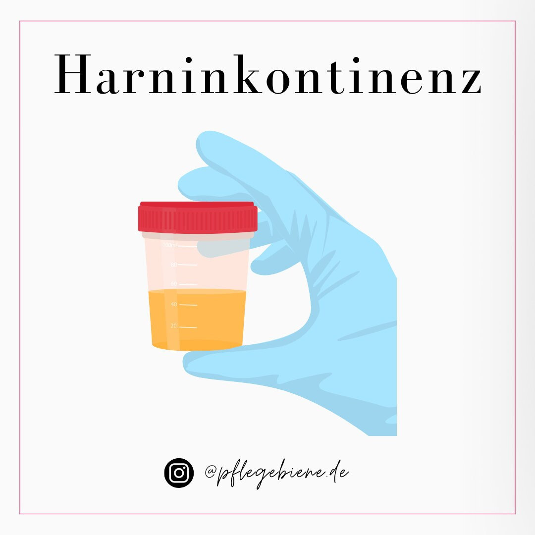 Learning Sheets for Urinary Incontinence Learning Sheets & Notes for ...