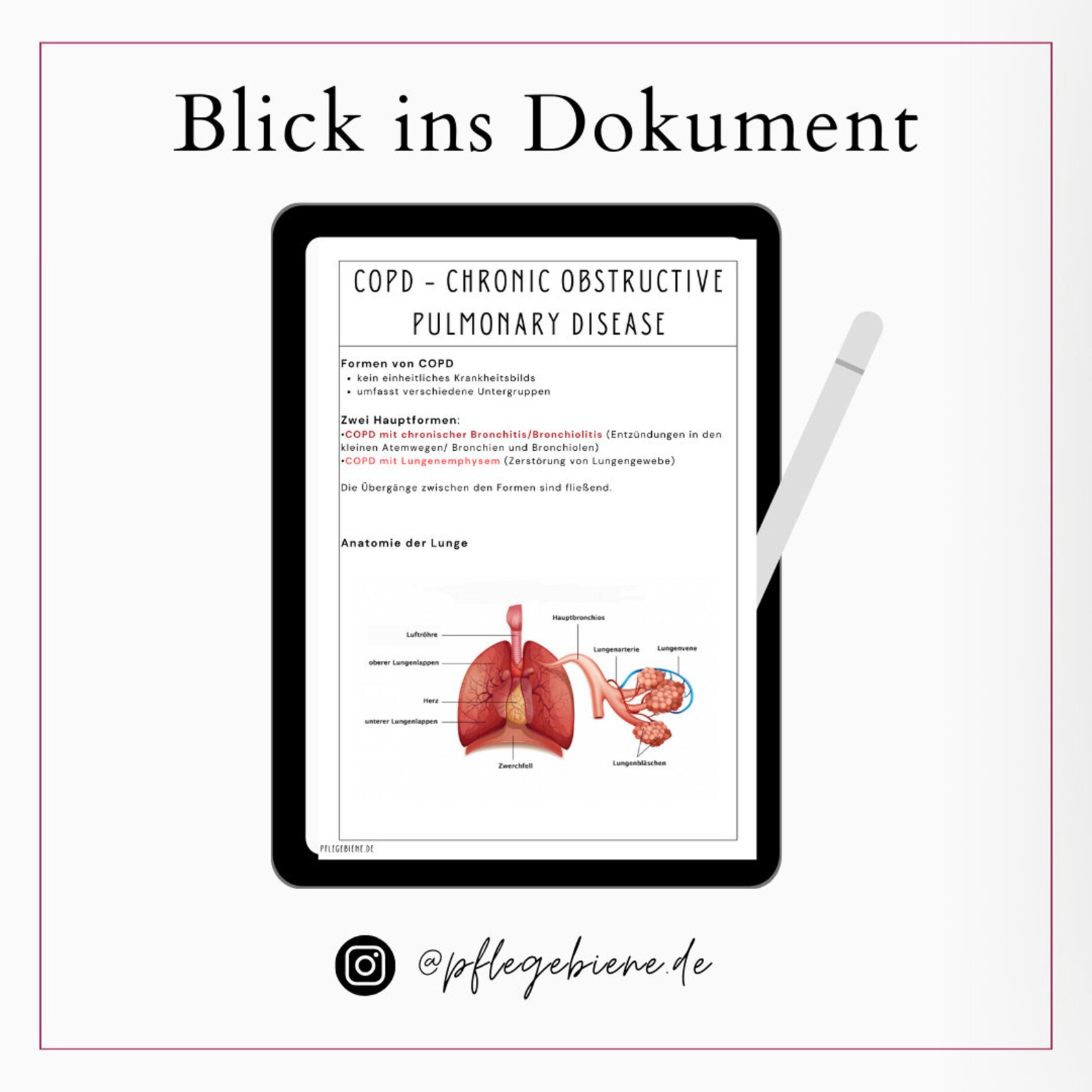 COPD Learning Sheets - Learning Sheets & Notes for Nursing and Nursing ...