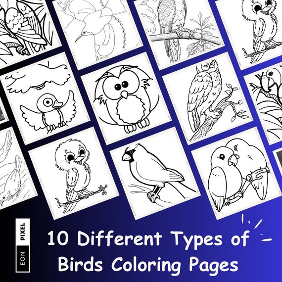 Types Of Coloring Pages [2025]