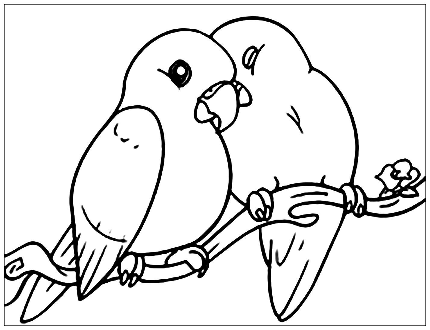 10 Different Types of Birds Coloring Pages - Etsy