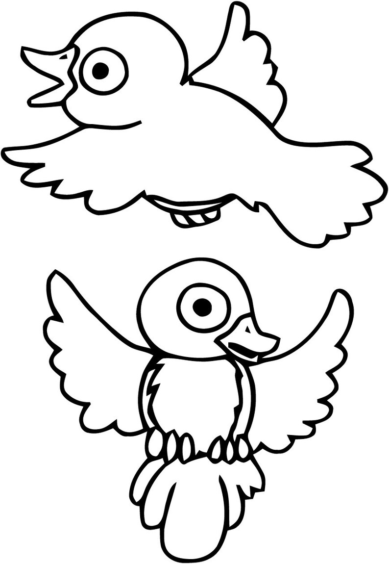 10 Different Types of Birds Coloring Pages - Etsy