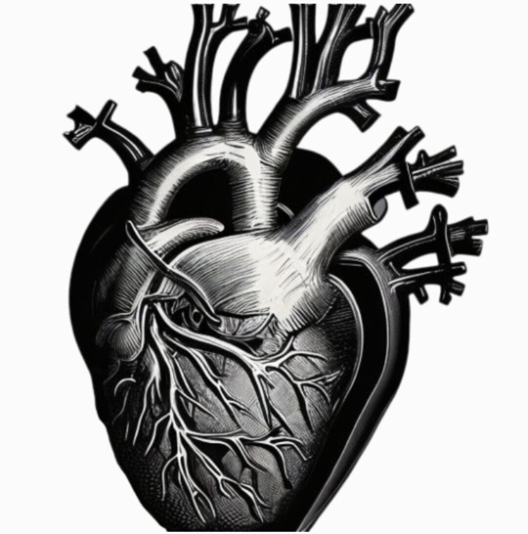 Human Heart Art Human Heart Shape Image Medical Gift Cardiologist Human ...