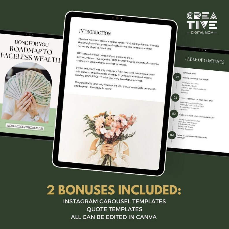 Roadmap to Faceless Wealth Guide With MRR and PLR Faceless Digital ...