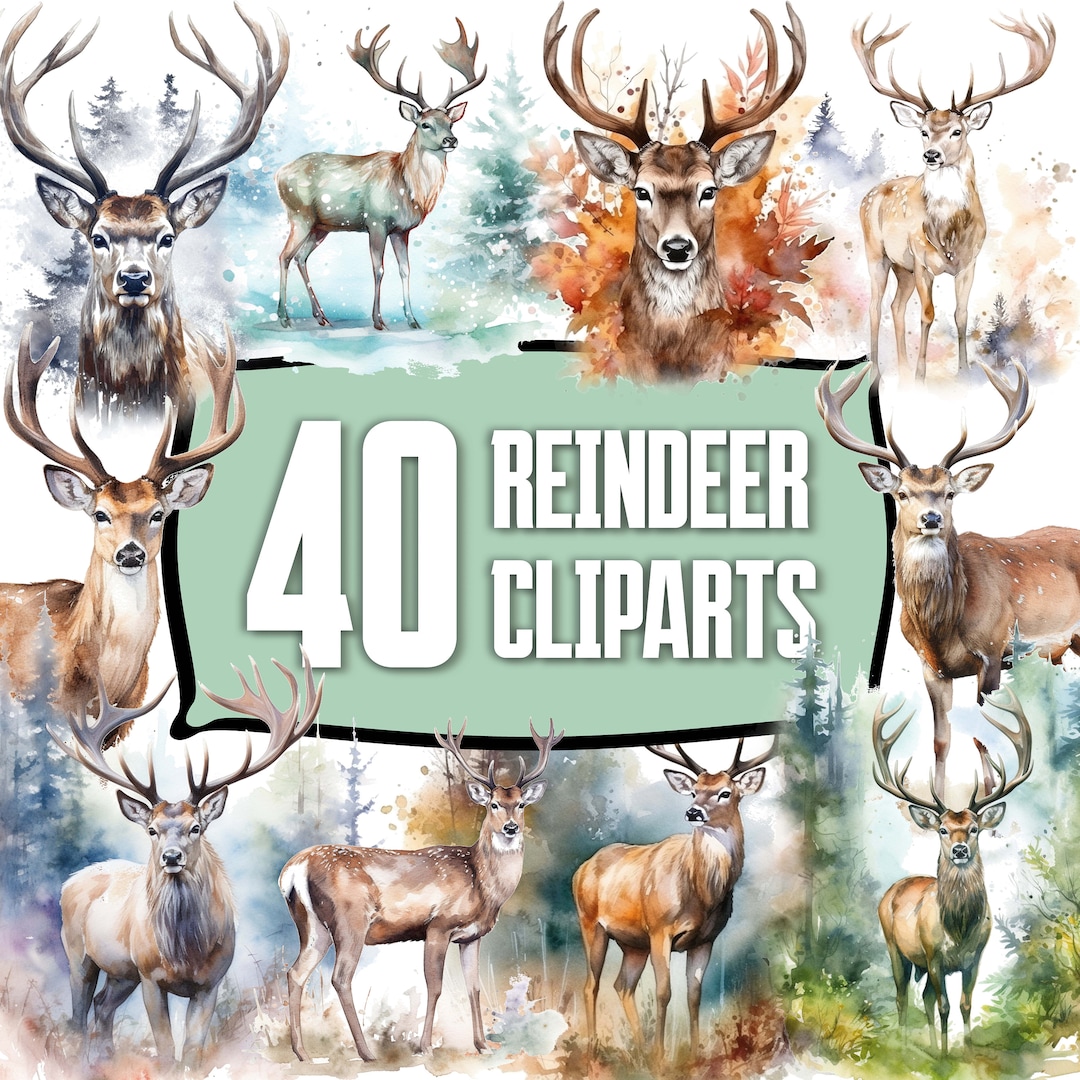 40 Reindeer Car Clip Arts, Water Colour Jpegs, Christmas Printables ...