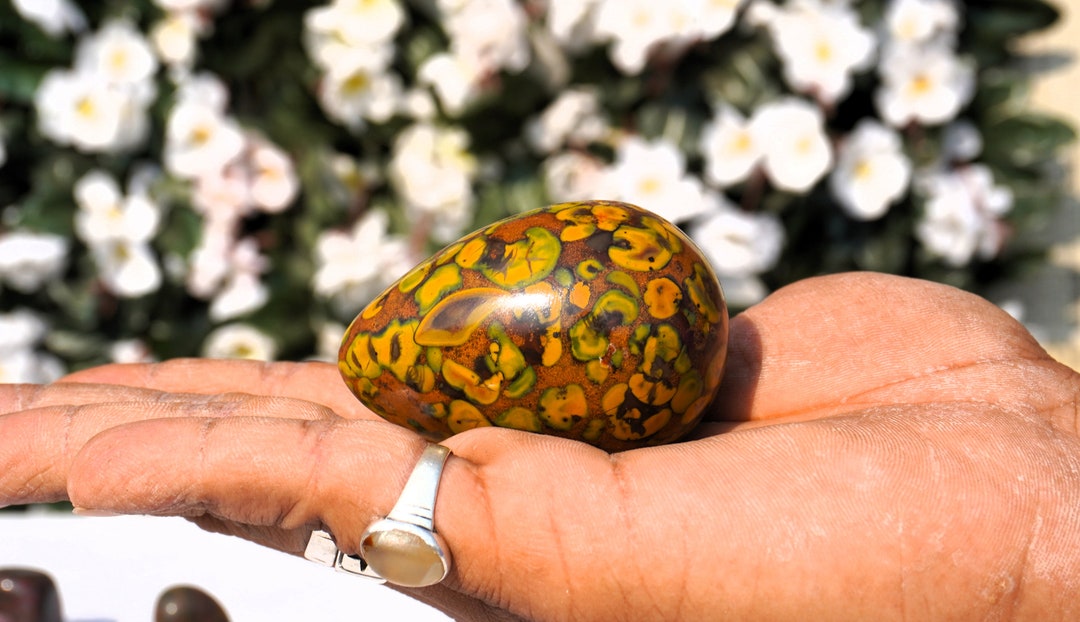 Green Fruity Fossil Poppy Jasper Stone Egg - Etsy