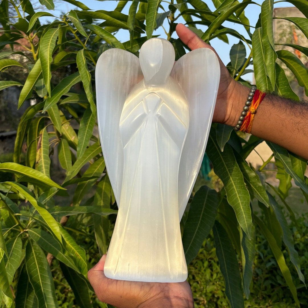 Large 12