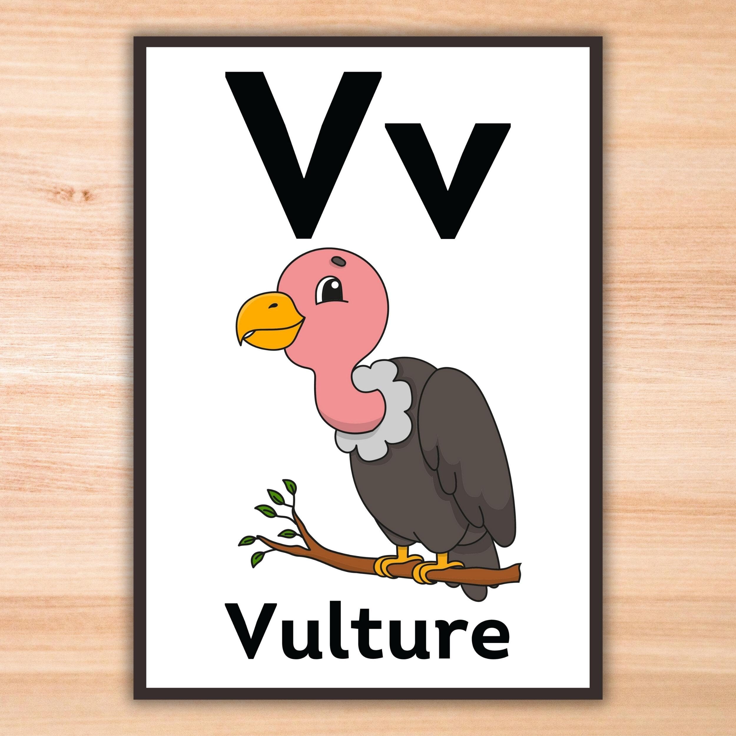 Alphabet Flash Cards, ABC Printable Picture Flashcards,abc Flas Cards ...