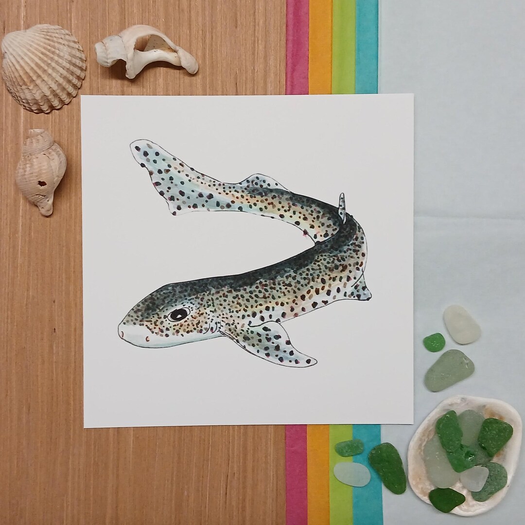 Cat Shark, Lesser Spotted Dogfish, Sea Animal, Giclee Art Print - Etsy