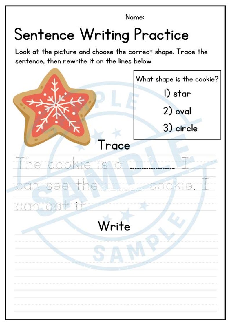 Shape Word Sentences—choose the Shape, Trace, and Write! (20 Worksheets ...