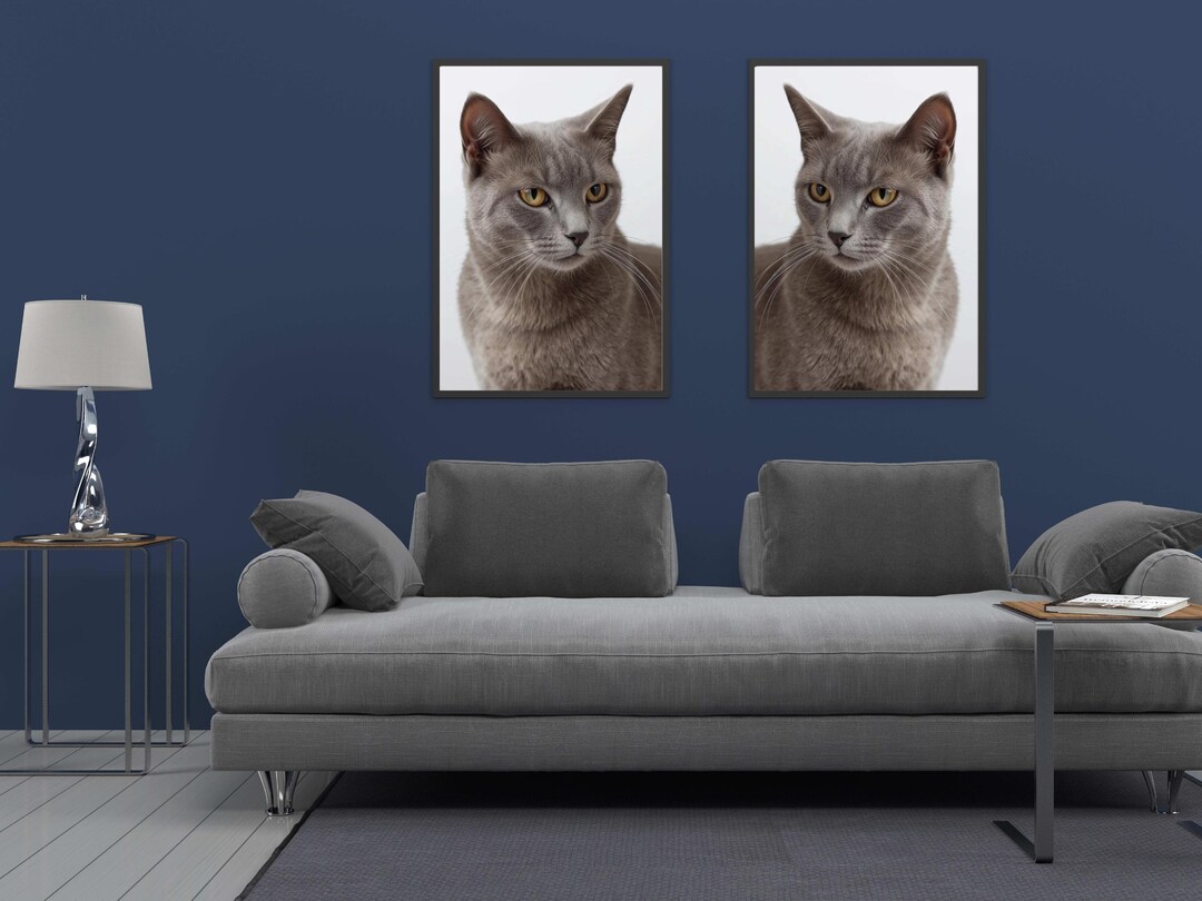 Korat Cat Art Print: Silver Thai Cat Portrait (digital Download) - Etsy