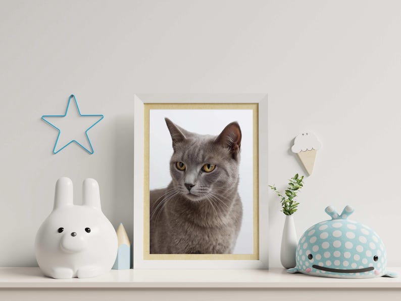 Korat Cat Art Print: Silver Thai Cat Portrait (digital Download) - Etsy