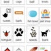 52 Pet Flashcards. Learn English. Instant Download. Print Friendly ...