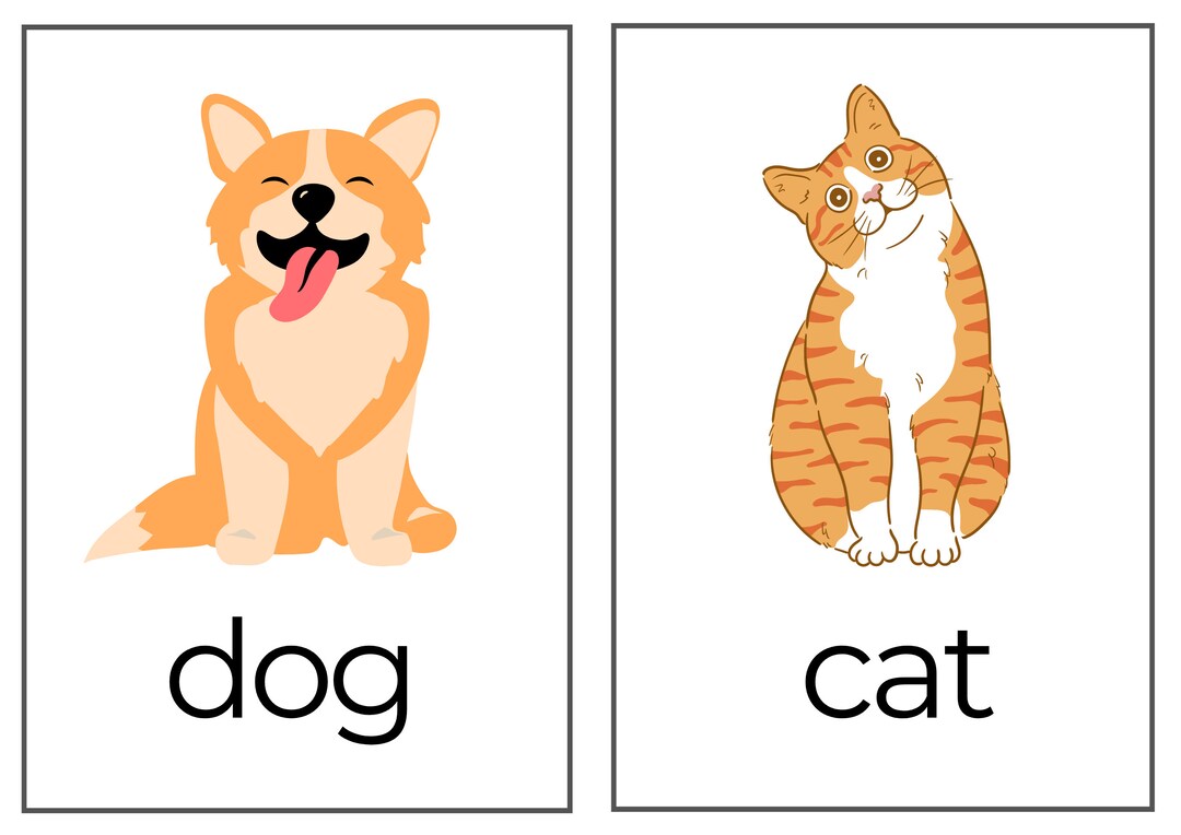 52 Pet Flashcards. Learn English. Instant Download. Print - Etsy