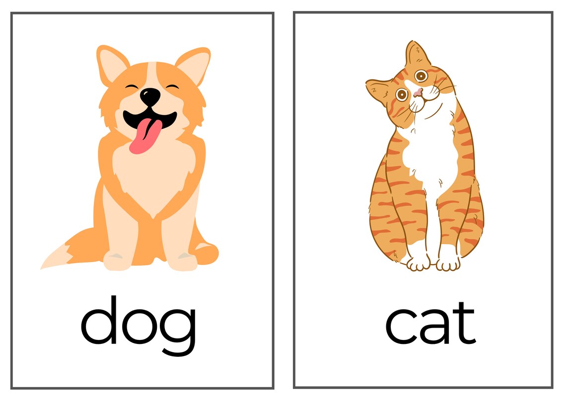 52 Pet Flashcards. Learn English. Instant Download. Print Friendly - Etsy