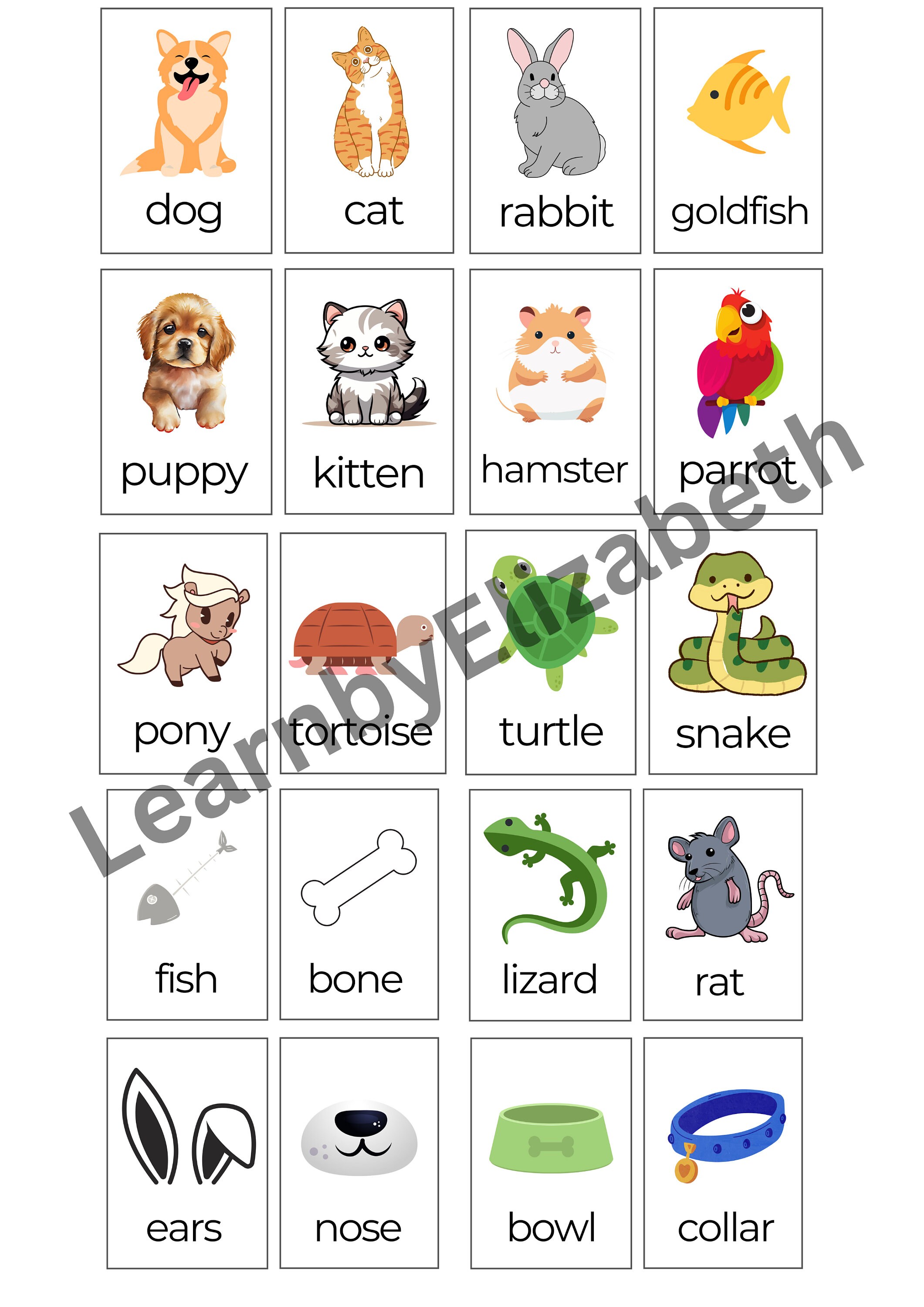 52 Pet Flashcards. Learn English. Instant Download. Print - Etsy