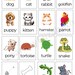 52 Pet Flashcards. Learn English. Instant Download. Print Friendly ...