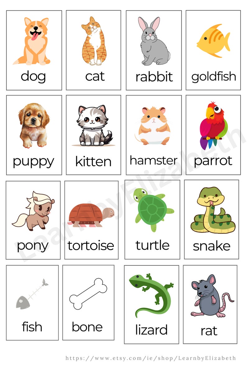 52 Pet Flashcards. Learn English. Instant Download. Print Friendly - Etsy