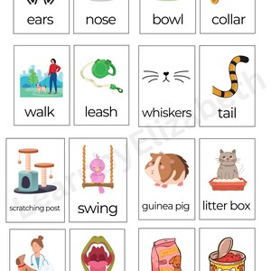 52 Pet Flashcards. Learn English. Instant Download. Print Friendly - Etsy