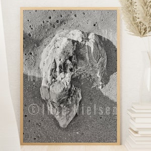 Dinosaur T-rex Stone Face Poster - Etsy UK