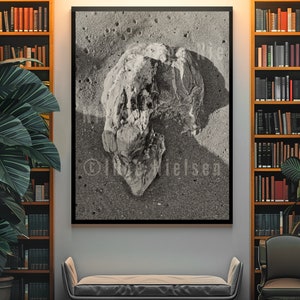 Dinosaur T-rex Stone Face Poster - Etsy UK