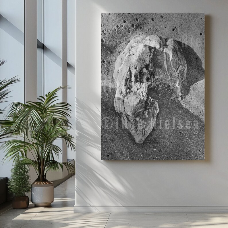 Dinosaur T-rex Stone Face Art Print: Coastal Photography - Etsy