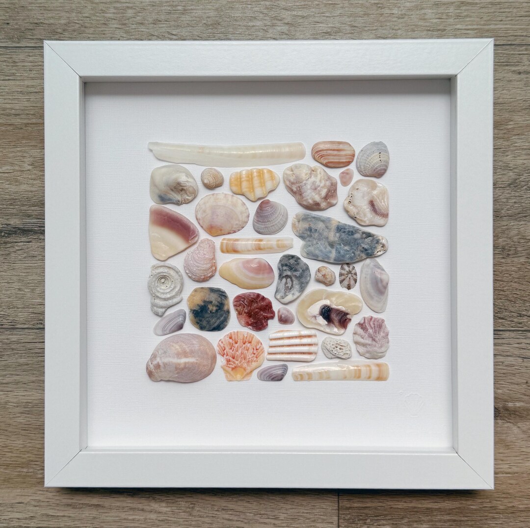 Wildflower || Seashell Art, Seashells, Shadow Box, Beach Art, Coastal ...