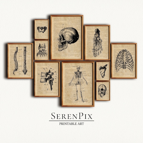 Skeleton Wall Art - Etsy