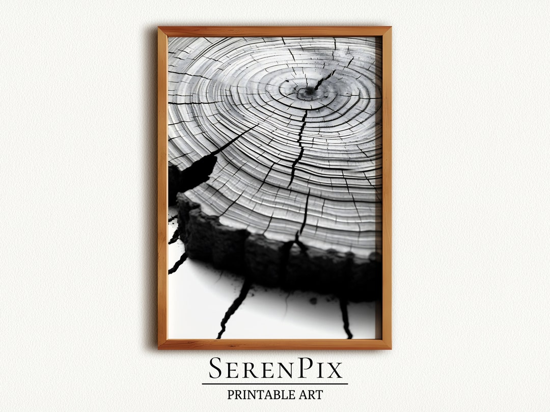Tree Rings Art Print, Tree Rings Wall Art, Wood Slice Printable, Fall ...