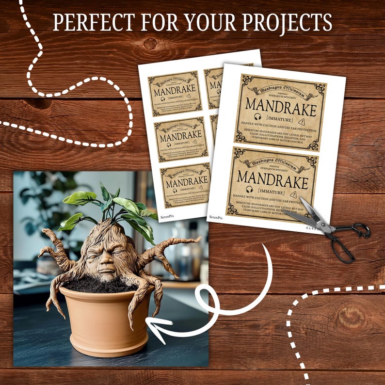 Printable Mandrake Label, Halloween Decor, Wizard Party Decoration ...