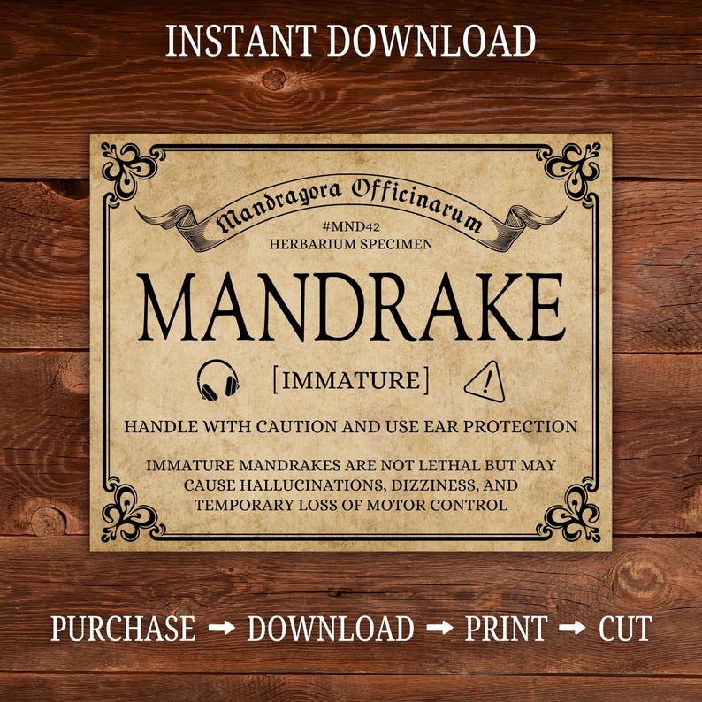 Printable Mandrake Label, Halloween Decor, Wizard Party Decoration ...