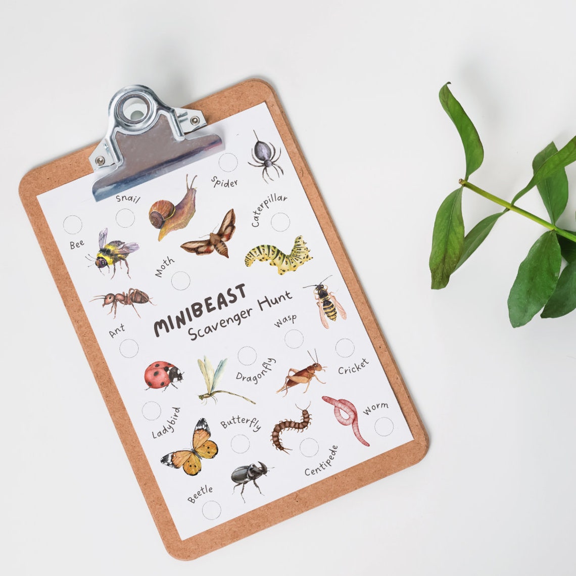 Minibeast Scavenger Hunt Printable, Insect Checklist, Nature Walk ...