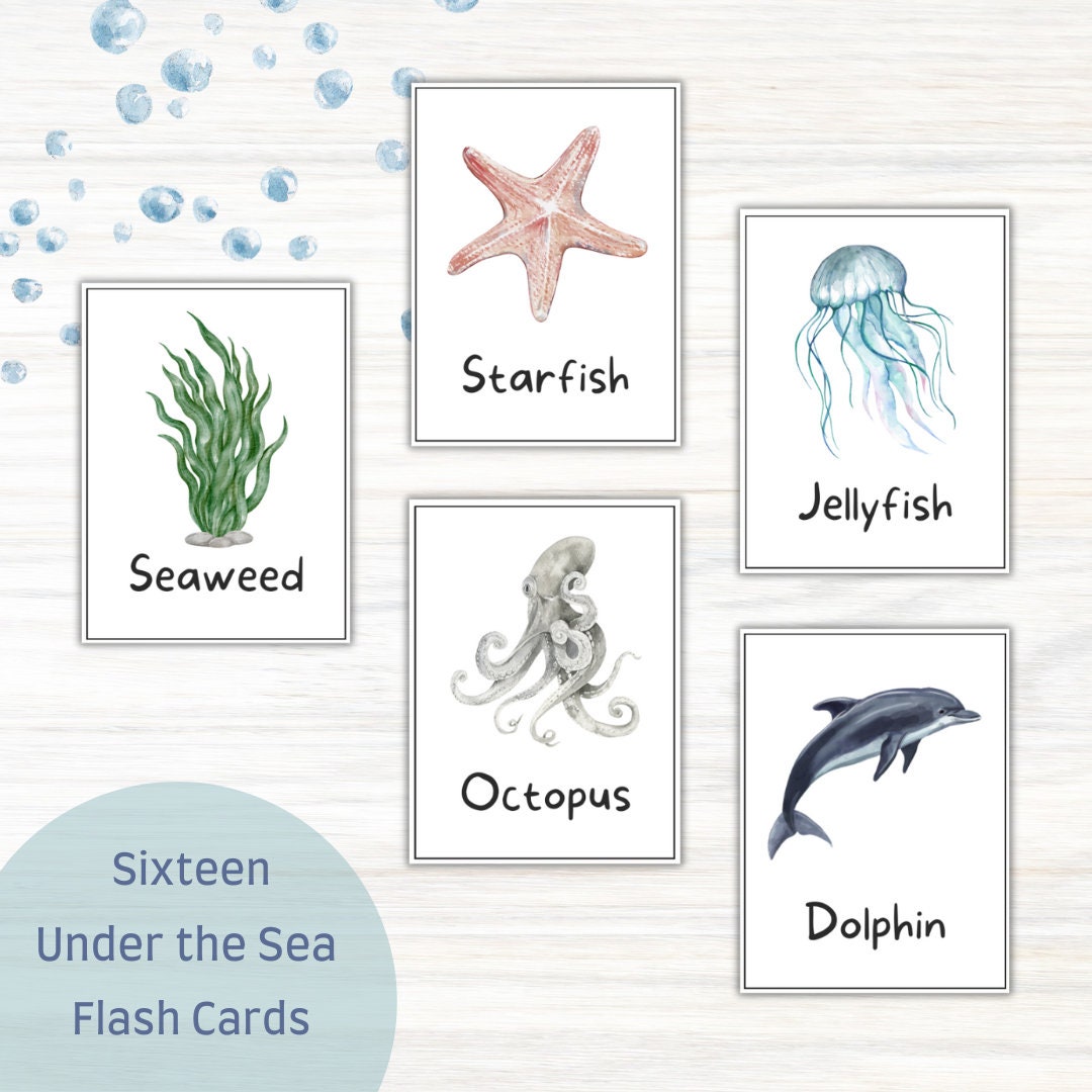 16 Under the Sea Flash Cards, Printable, Sea Creatures, Language ...