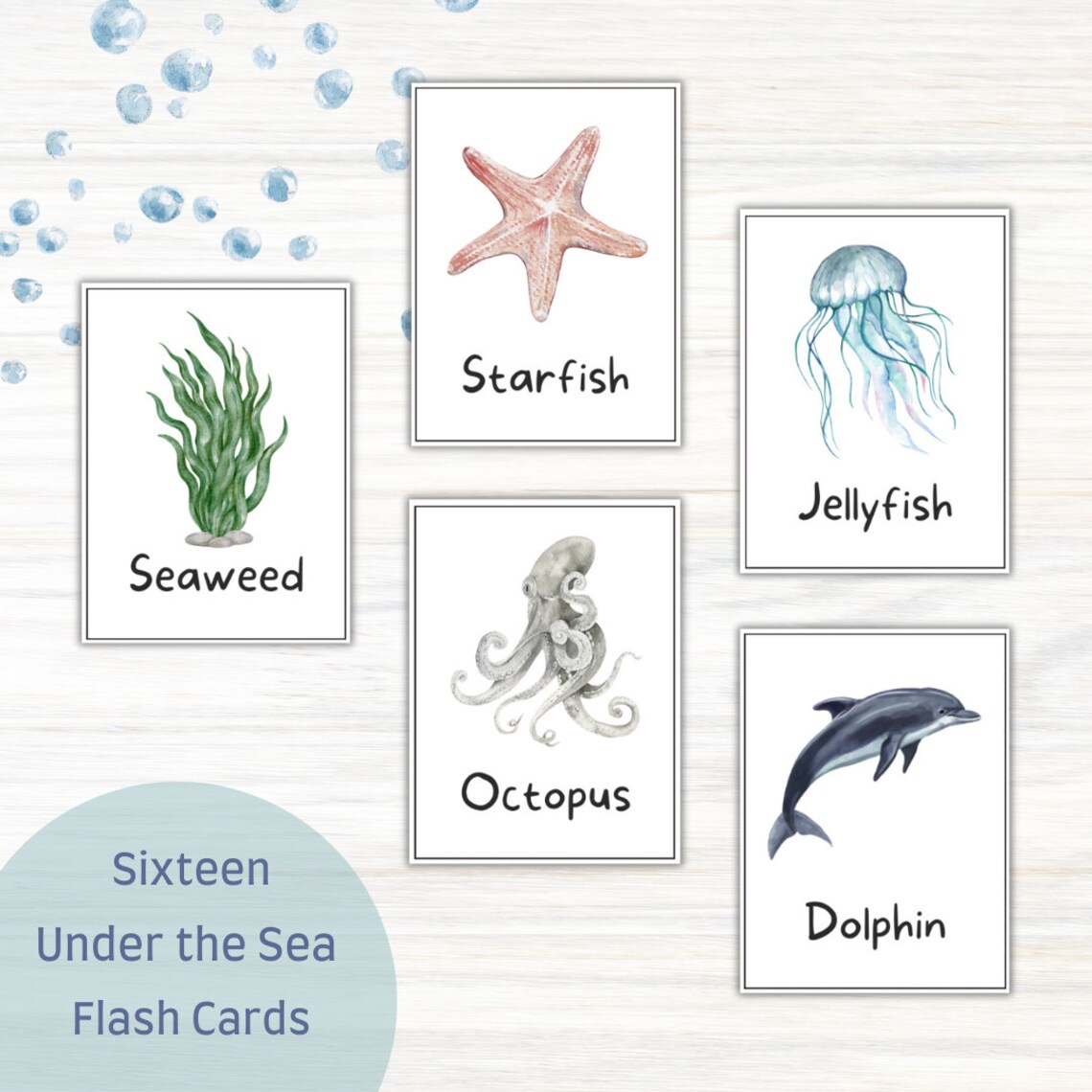 16 Under the Sea Flash Cards Printable Sea Creatures - Etsy UK